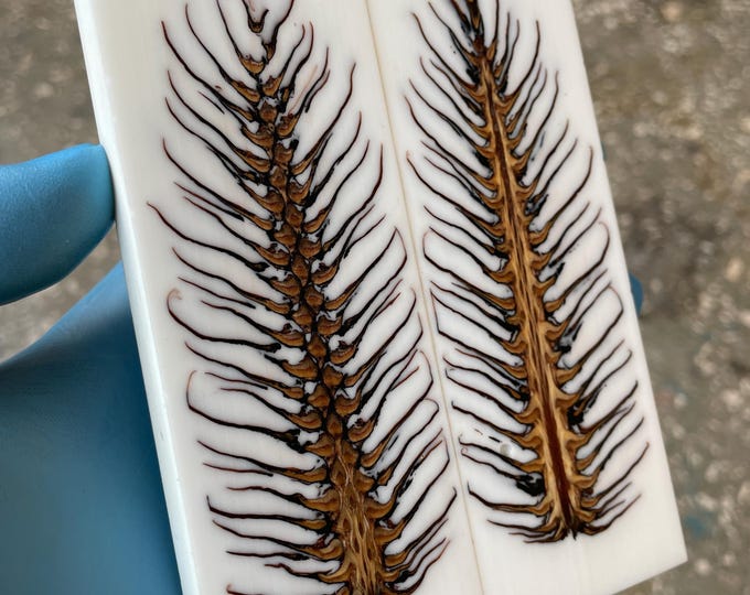 Pinecone in Resin Pine Cone Spruce Stabilized Pair Scales for Handle ...