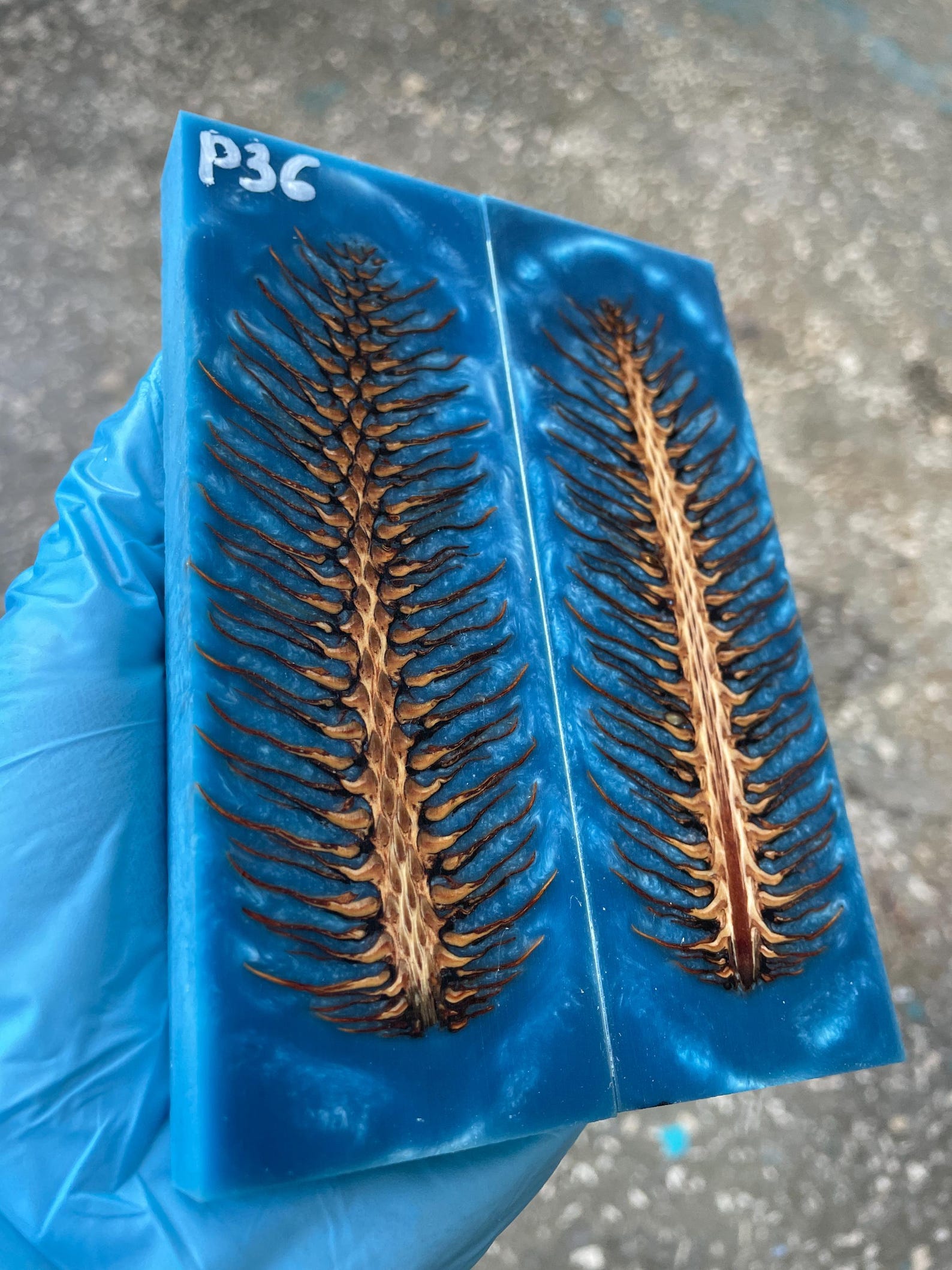 Pinecone in Resin Pine Cone Spruce Stabilized Pair Scales for Handle ...