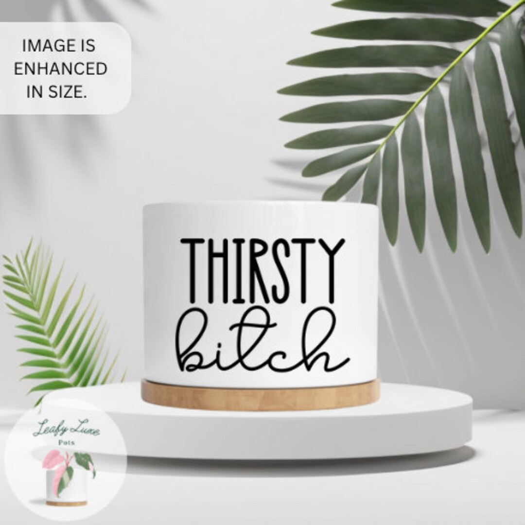 Thirsty Bit*h|sassy Pot Sayings|ceramic Plant Pot With Drainage|cute ...