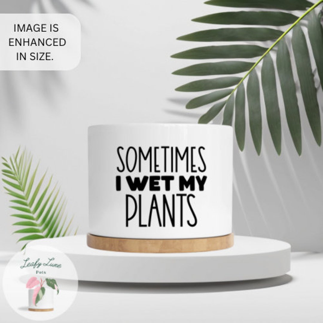 Some Times I Wet My Plants sassy Pot Sayingsceramic Plant Pot With ...