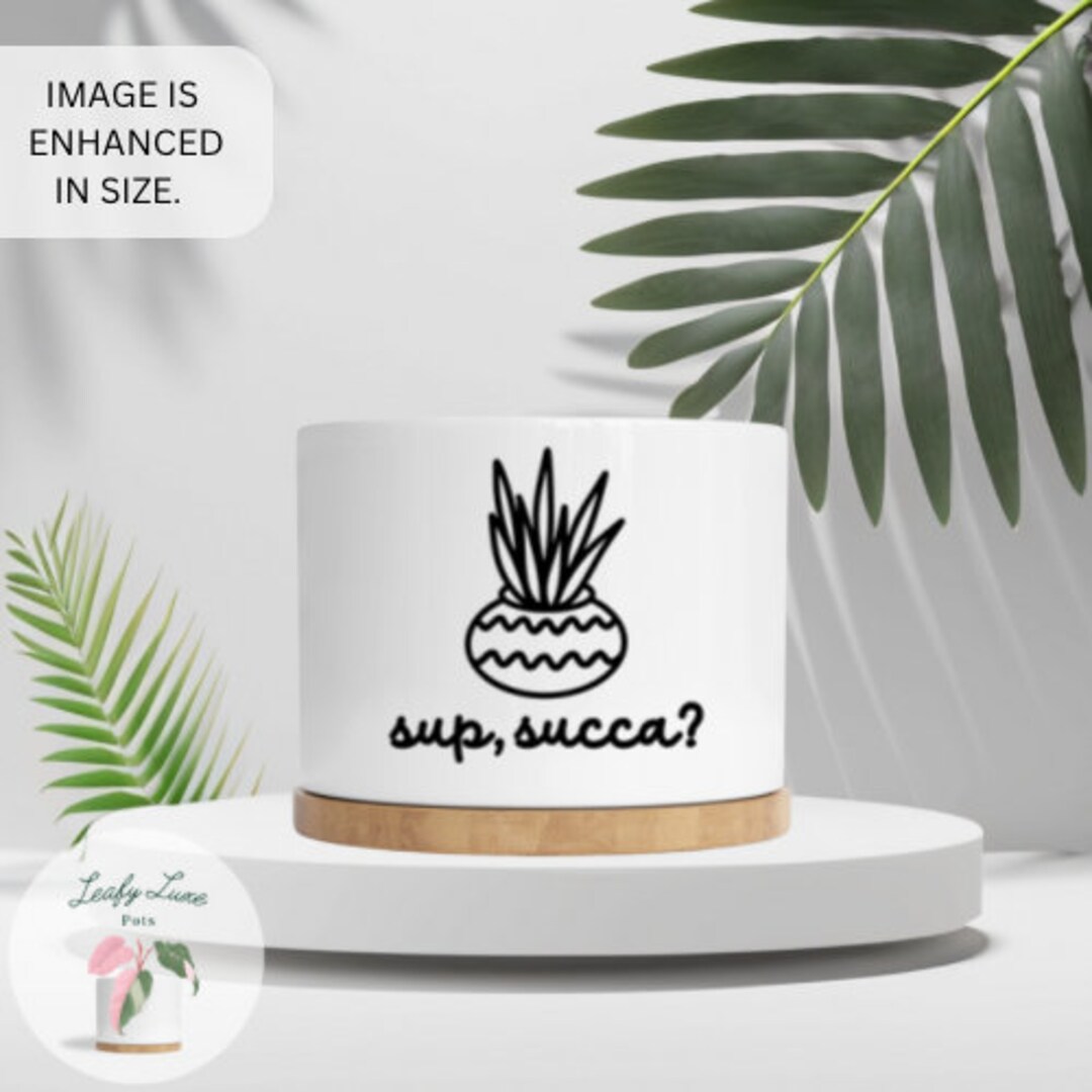 Sup Succasassy Pot Sayingsceramic Plant Pot With Drainagecute Succulent ...