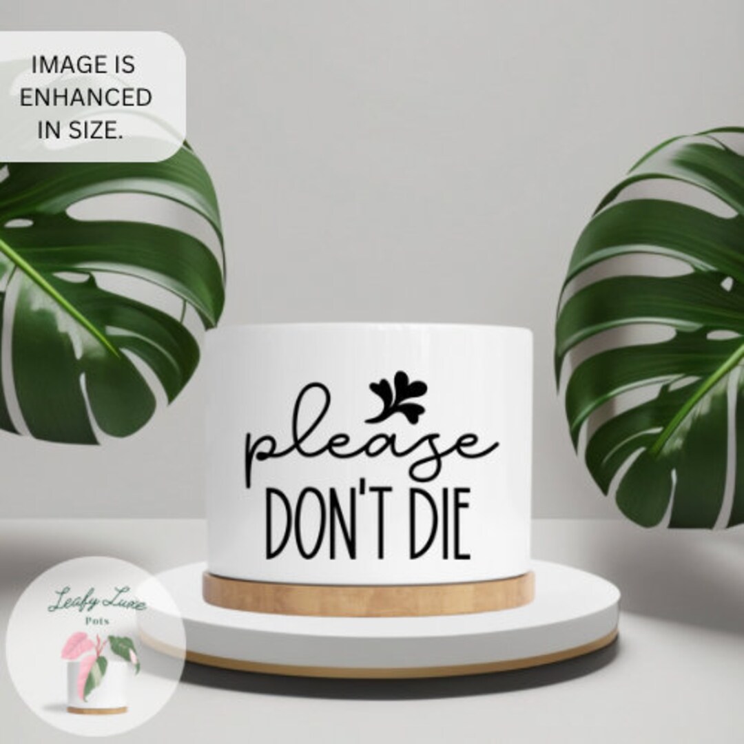 Please Dont Diesassy Pot Sayingsceramic Plant Pot With Drainagesmall ...