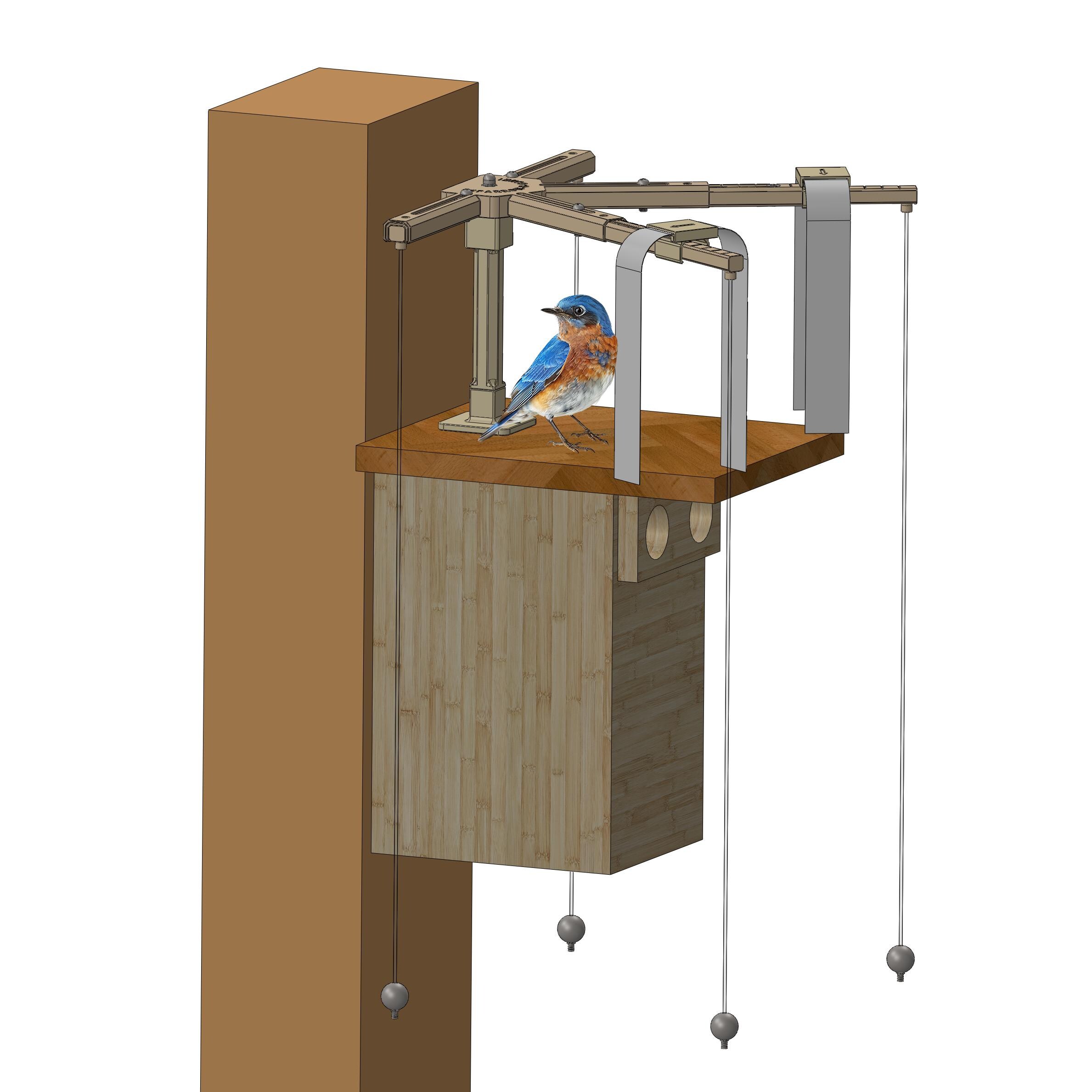 Protect Your Bluebird House From House Sparrows! Model SBG-BBHF for ...