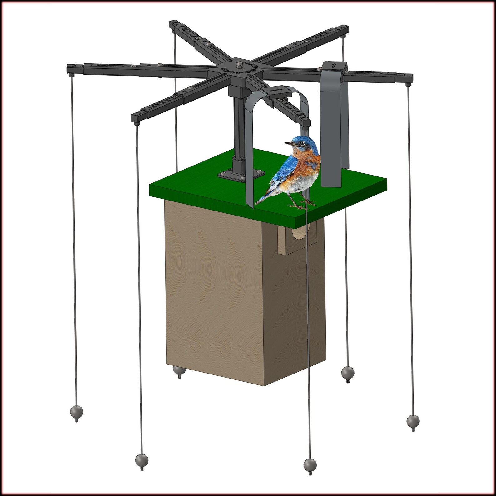 Protect Your Bluebird House From House Sparrows! Model SBG-BBF for ...