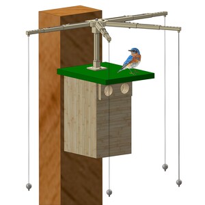 Protect Your Bluebird House From House Sparrows! Model SBG-BBHF for ...