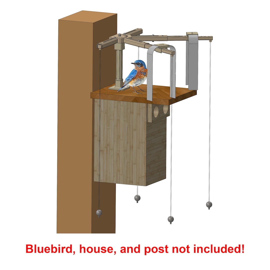 Protect Your Bluebird House From House Sparrows! Model SBG-BBHF for ...