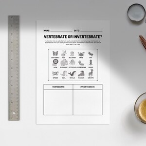 Vertebrate and Invertebrate - Printable Canva Presentation Template and ...