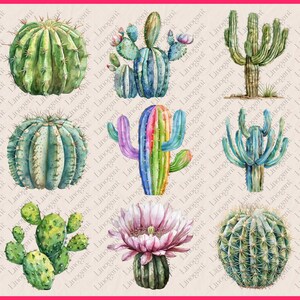 38 PNG Cactus With Flowers Clipart, Floral Cactus Clipart, Desert ...