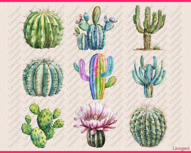 38 PNG Cactus With Flowers Clipart, Floral Cactus Clipart, Desert ...