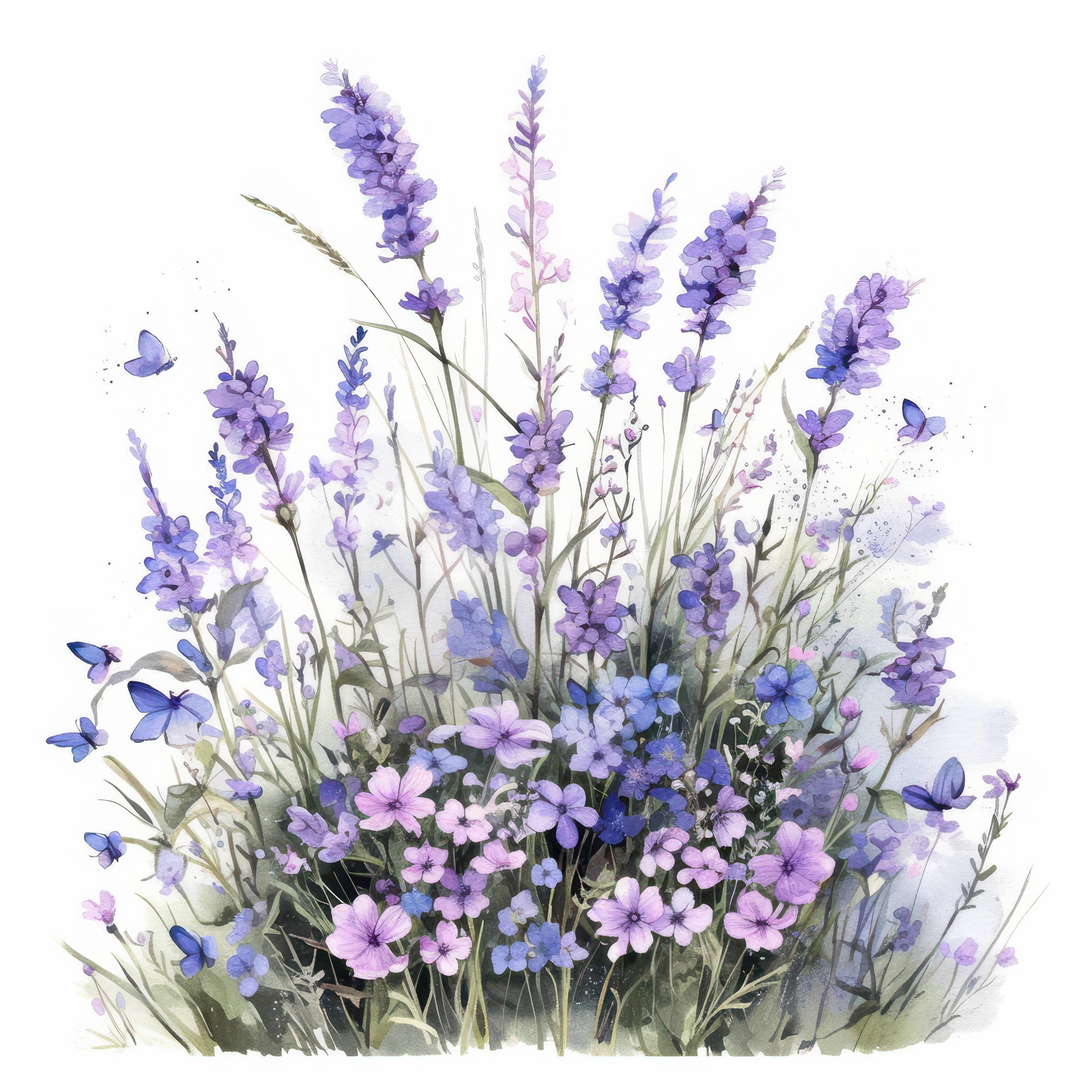13 Lavender Wildflower Clipart Bundle, Purple Flower Bouquet Design ...