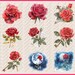 Watercolor Red Rose Objects Clipart Bundle, Floral Clip Art Set, Flower ...
