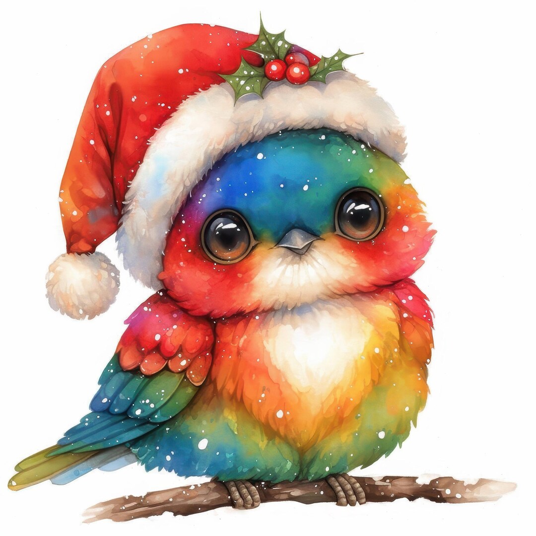 13 Birds Charming Christmas Clipart Bundle, Festive Winter Bird ...
