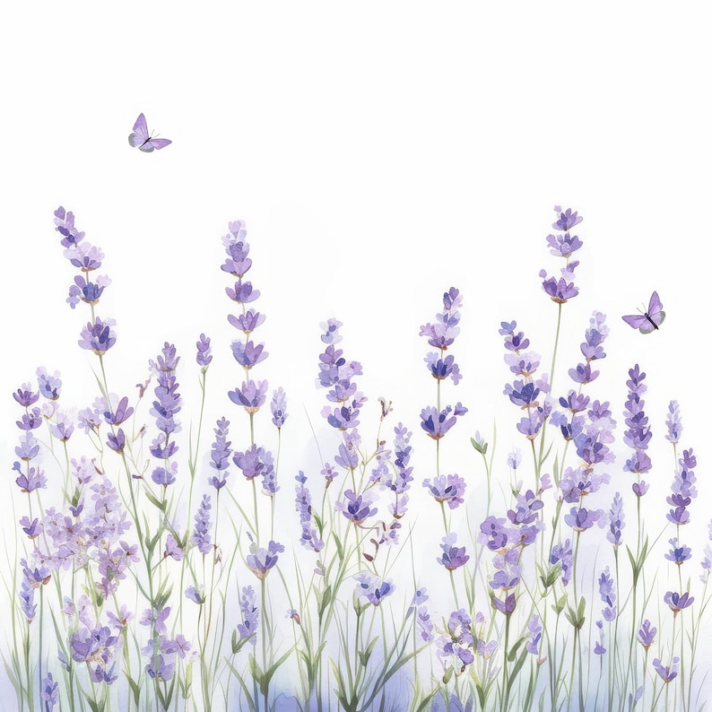 15 Lavender Clipart Floral Bundle, Soft Purple Art Illustration ...