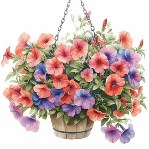 Hanging Mixed Petunias Clip Art 11 High Res Watercolor Jpgs for Junk ...