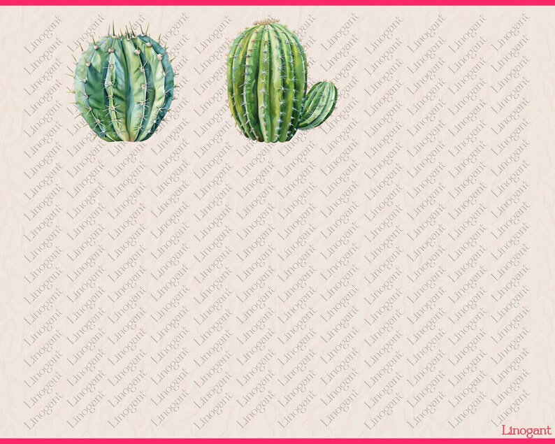 38 PNG Cactus With Flowers Clipart, Floral Cactus Clipart, Desert ...