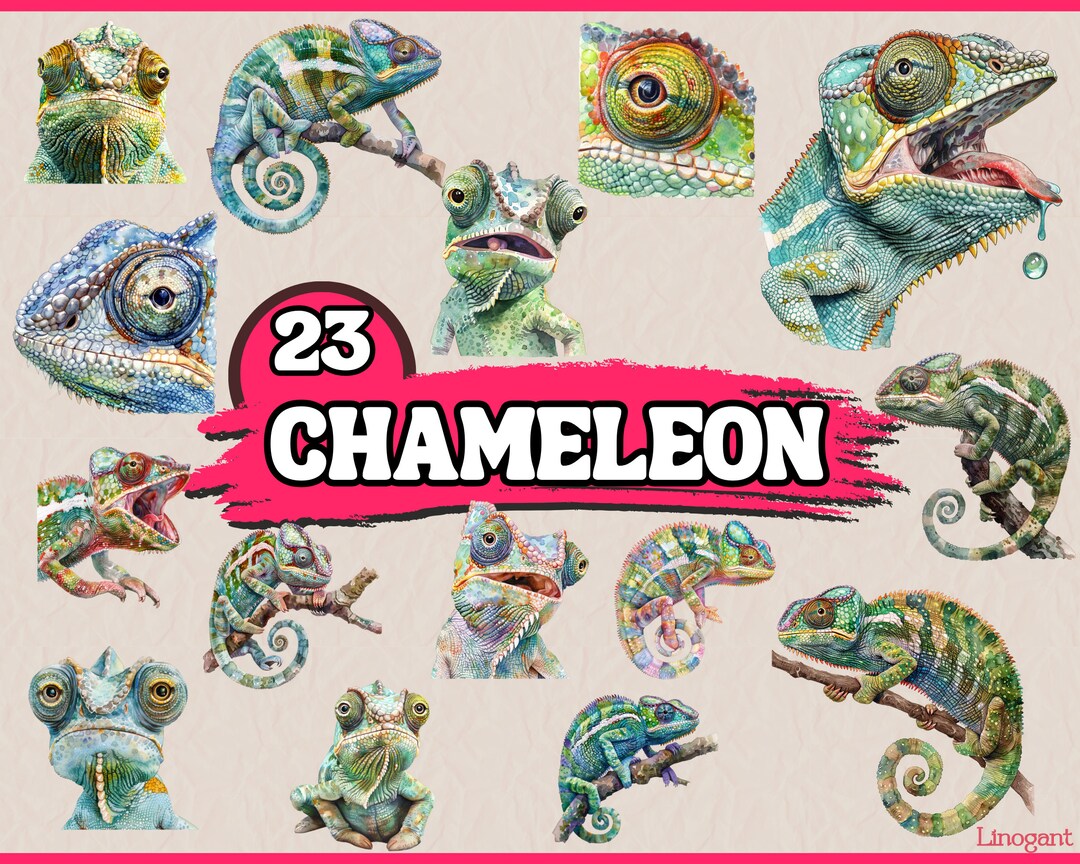 Watercolor Chameleon Clipart Bundle, Chamelon Clip Art Set, Wild Animal ...