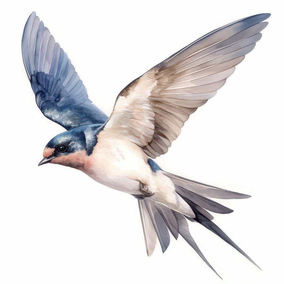 10 Swallow Clipart Bundle, Flying Bird Art Illustration, Printable ...