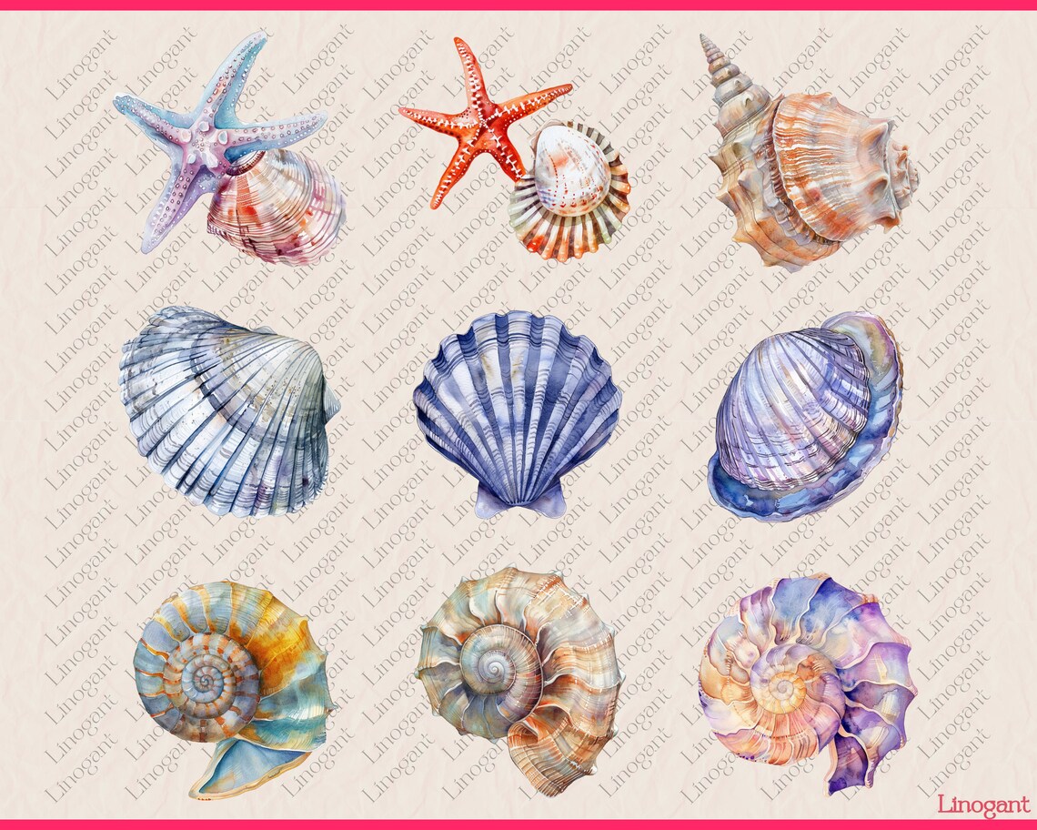 Watercolor Coral and Seashells Clipart Bundle, Under Sea With Coral ...