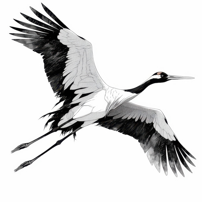 10 Black Ink Crane Clipart Bundle, Japanese Sumi Ink Illustration ...