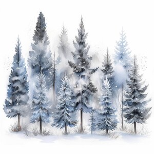 16 Winter Pine Tree Clipart Bundle, Snowy Pine Art Illustration ...