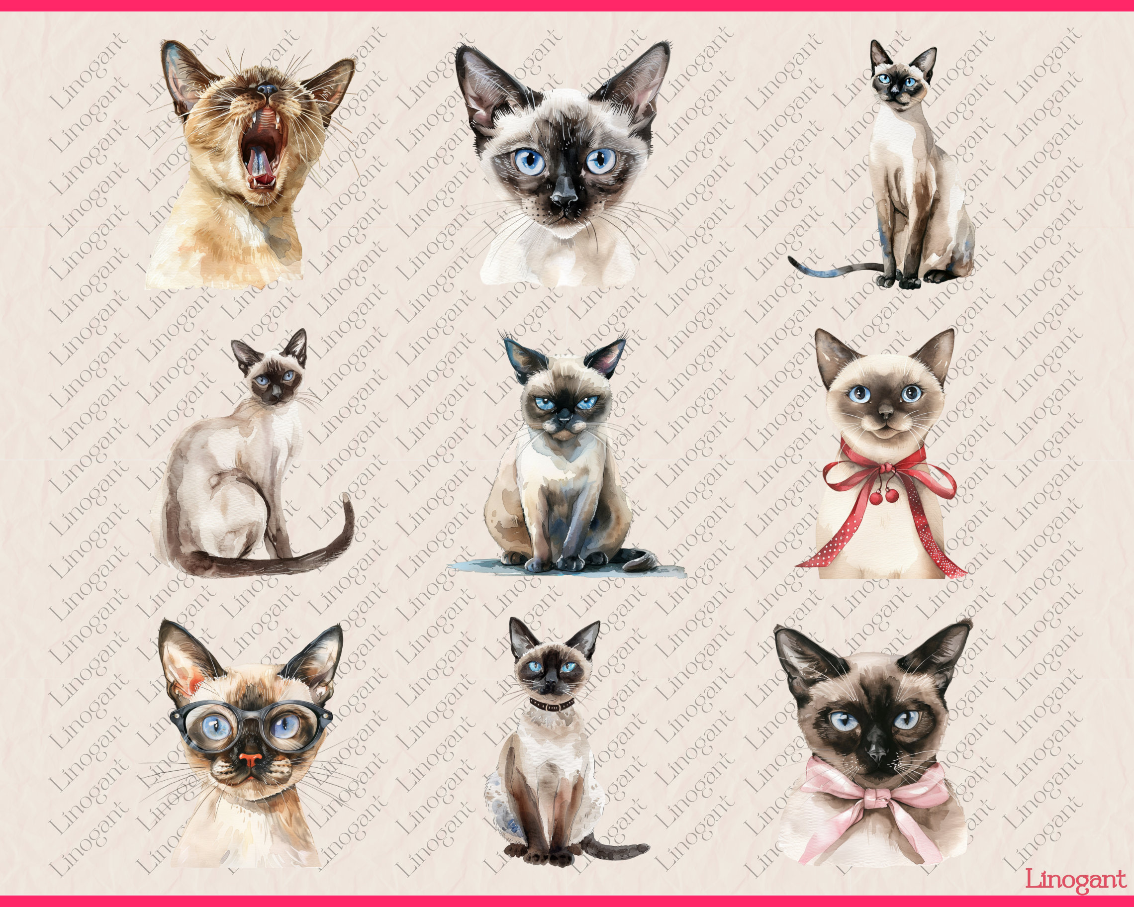 Watercolor Siamese Cat Clipart Bundle, Cat Breed Clip Art Set, Animal ...