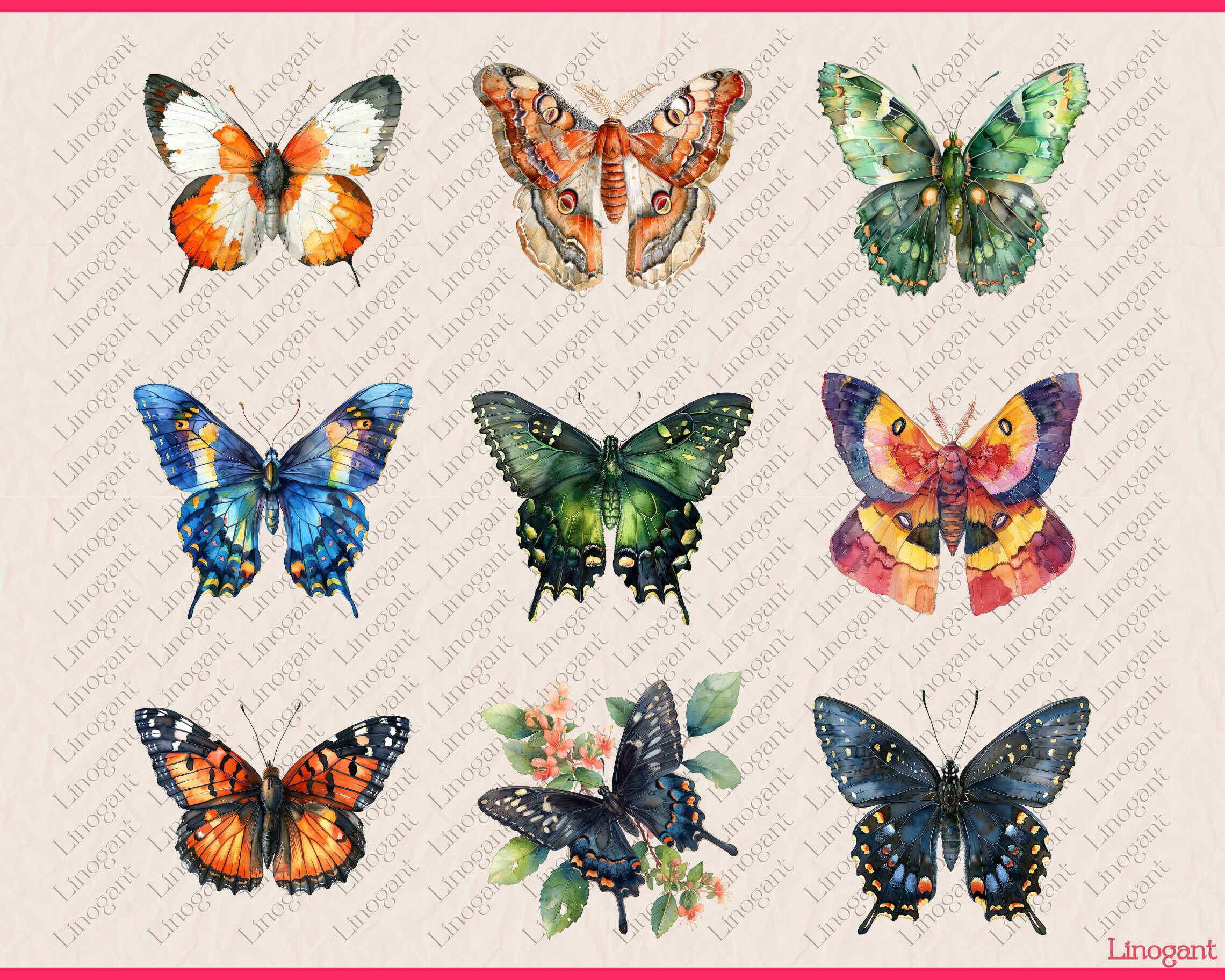 Watercolor Butterflies Clipart Bundle, Colorful Butterfly Clip Art Set ...