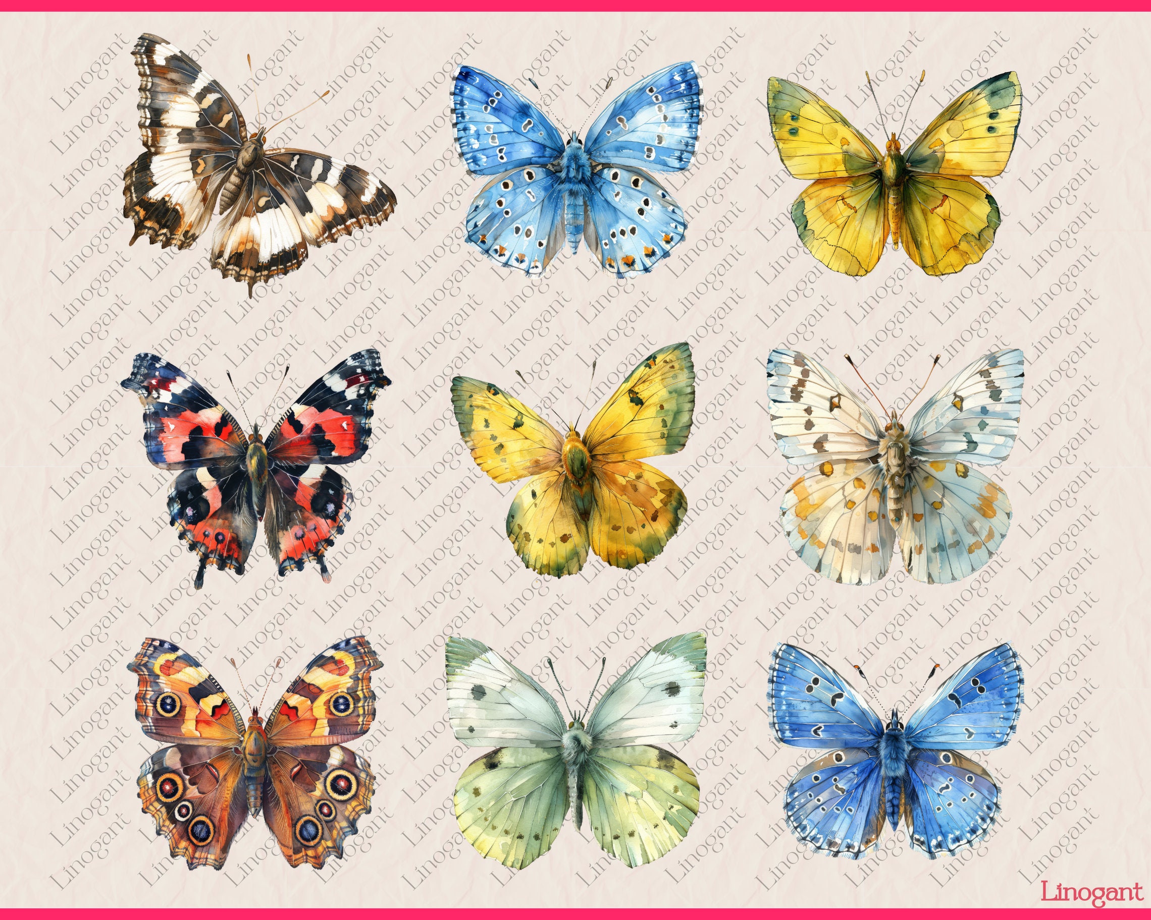 Watercolor Butterflies Clipart Bundle, Colorful Butterfly Clip Art Set ...