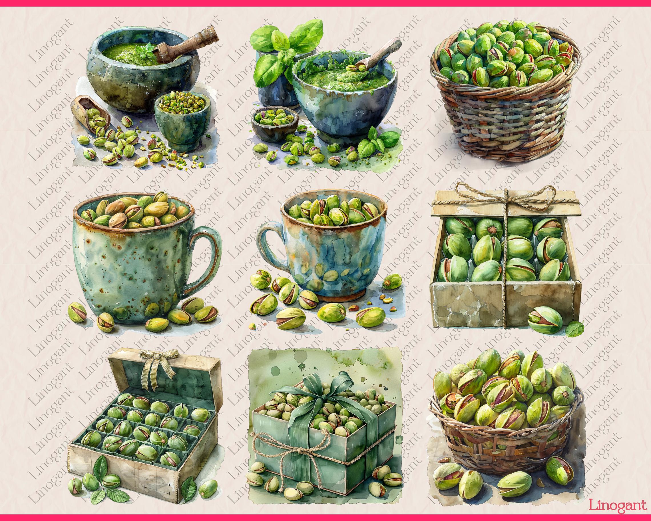 Watercolor Ultimate Nut Clipart Bundle, 289 Pngs Featuring Pistachio ...