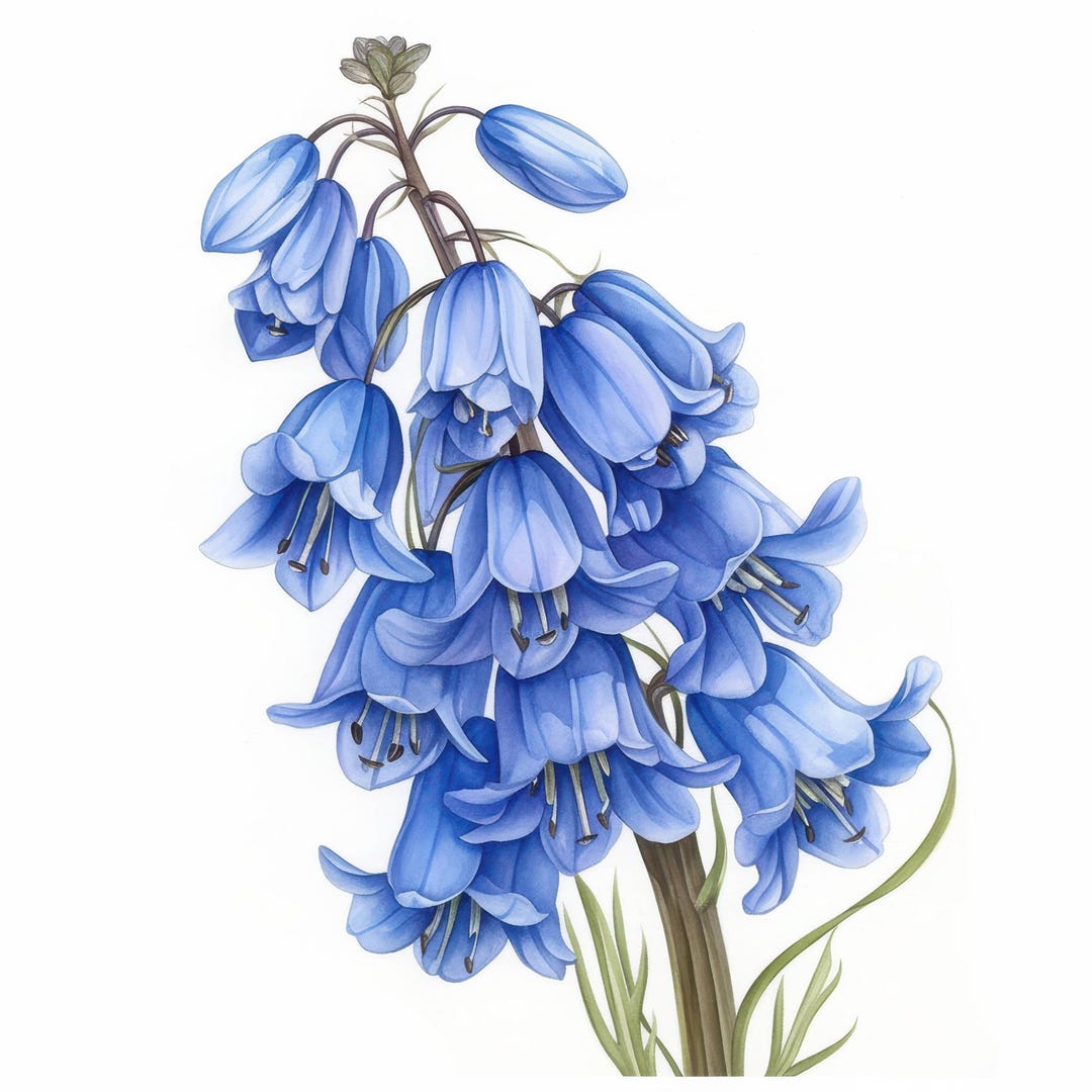 16 Bluebells Clipart Bundle, Delicate Spring Flower Illustration ...