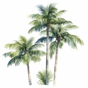 12 Tropical Palm Watercolor Clipart, Island Tree Beach Illustration ...