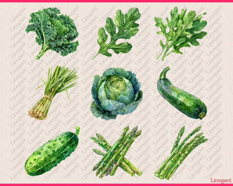 Watercolor Vegetables Clipart Bundle, Food Clip Art Set, Veggie PNG ...