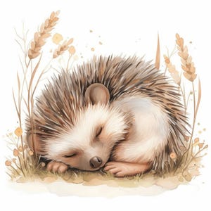 10 Woodland Porcupine Clipart Bundle, Forest Animal Illustration ...