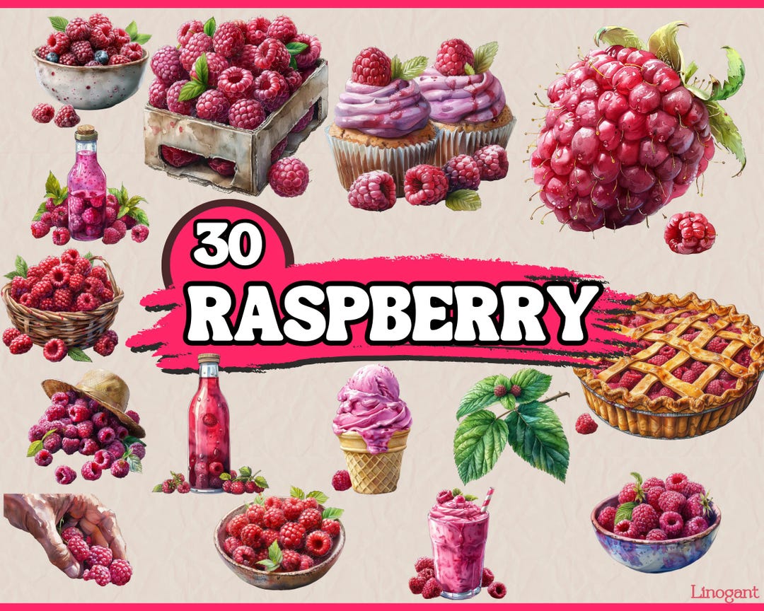 Watercolor Raspberry Clipart Bundle, Tropical Fruit Clip Art Set, Bowl ...