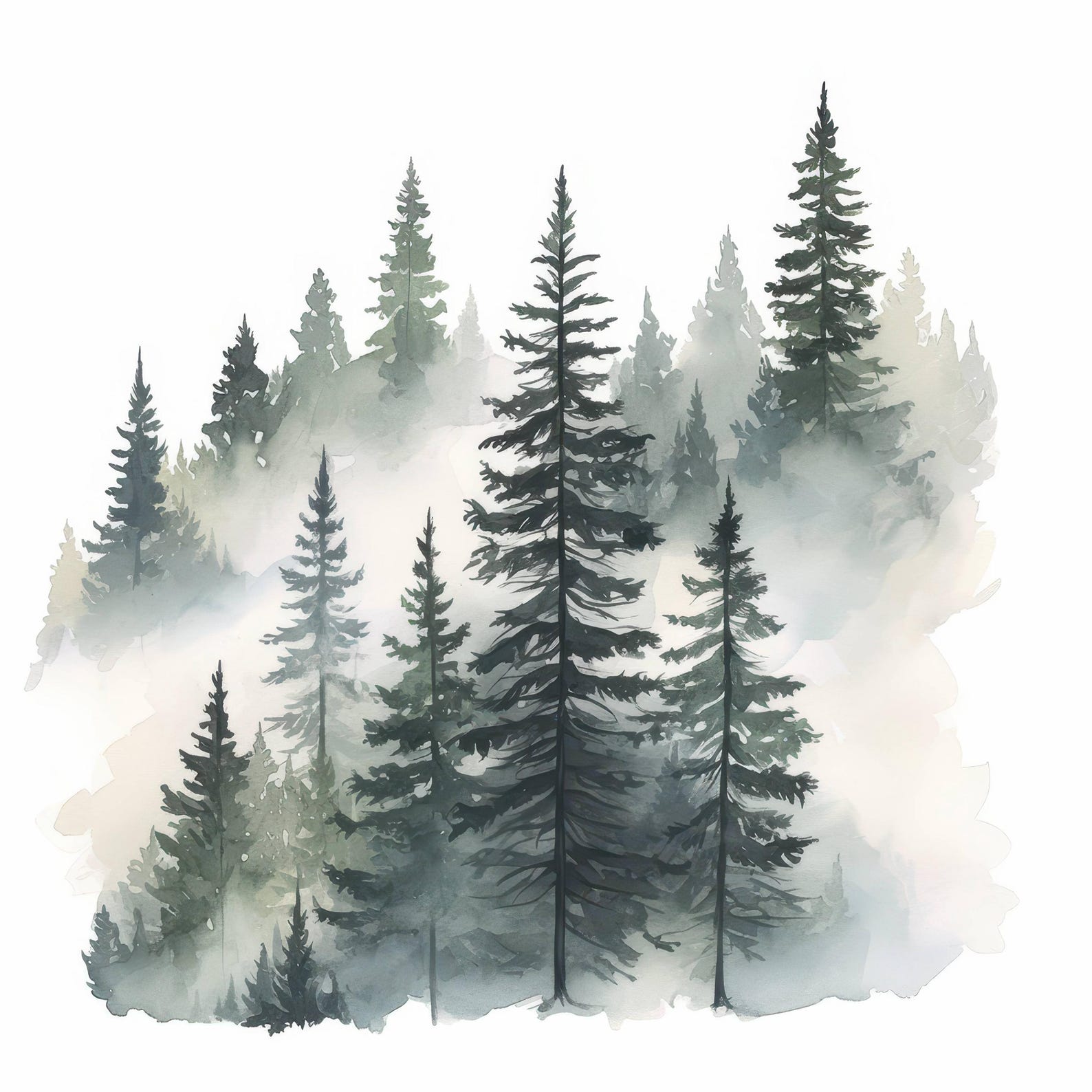 10 Foggy Pine Woods Watercolor Clipart, Misty Evergreen Forest ...