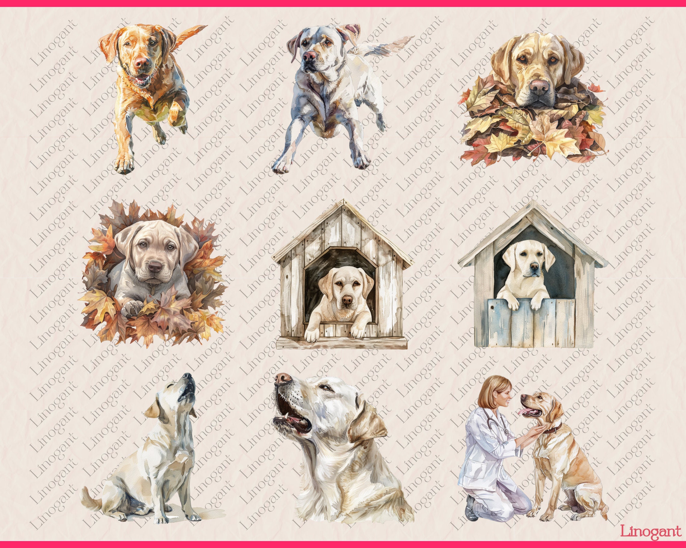 Watercolor Labrador Clipart Bundle, Dog Breed Clip Art Set, Animal Pet ...