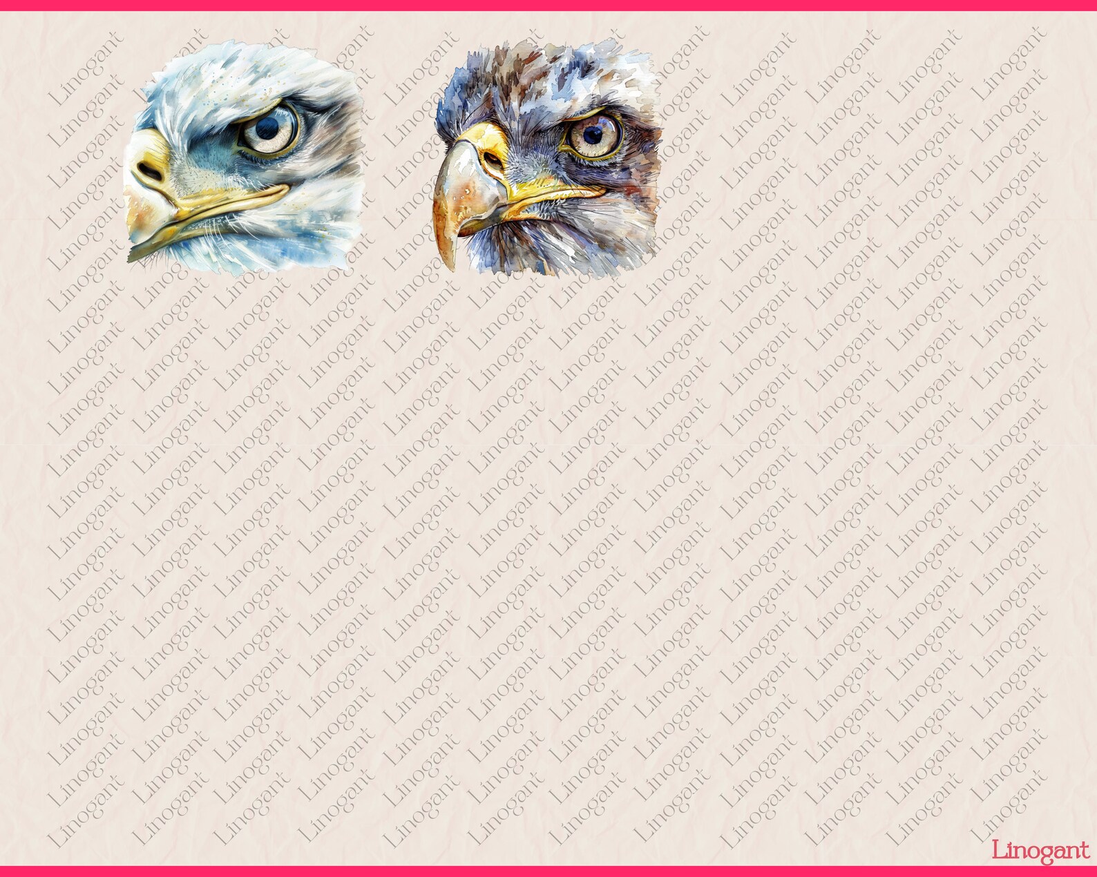 Watercolor Eagle Eye and Beak Clipart Bundle, Wild Bird Clip Art Set ...