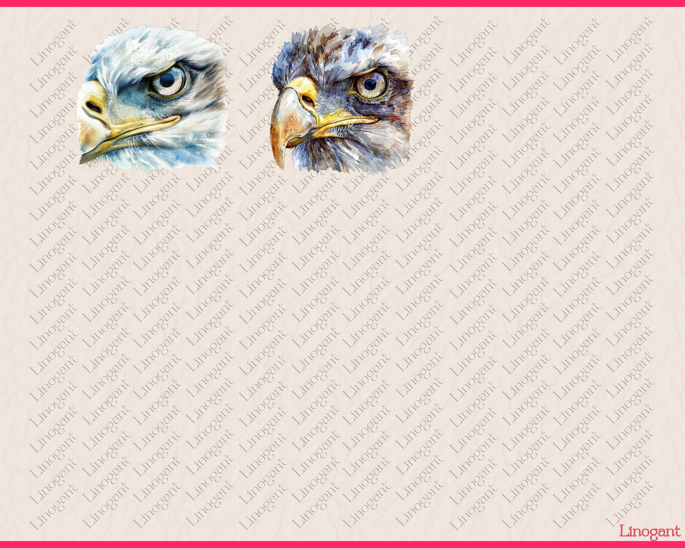 Watercolor Eagle Eye and Beak Clipart Bundle, Wild Bird Clip Art Set ...