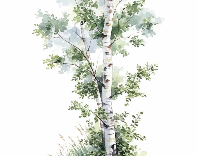 10 Birch Tree Clipart Nature Clip Art Bundle Watercolor Printable Wall ...