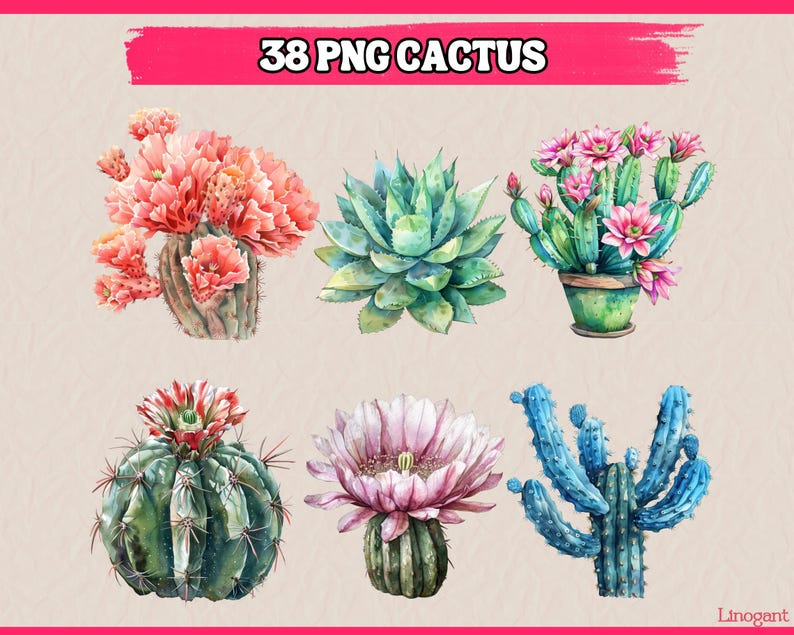 38 PNG Cactus With Flowers Clipart, Floral Cactus Clipart, Desert ...