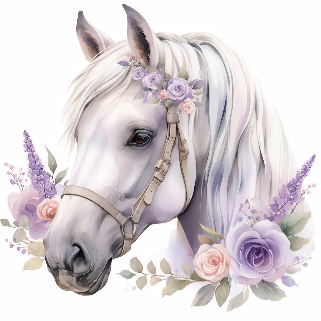 13 Horse Floral Clipart Bundle, Equine Blossom Art Illustration ...