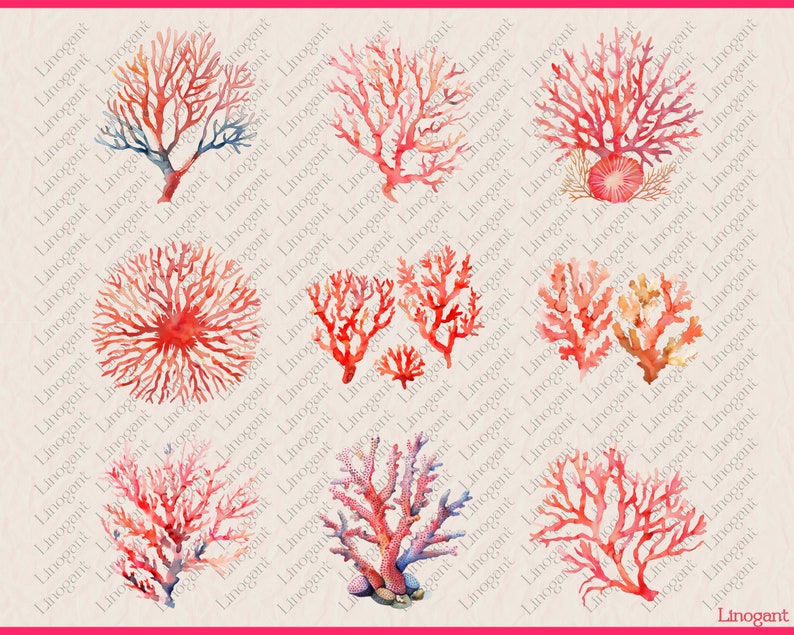 Watercolor Coral and Seashells Clipart Bundle, Under Sea With Coral ...