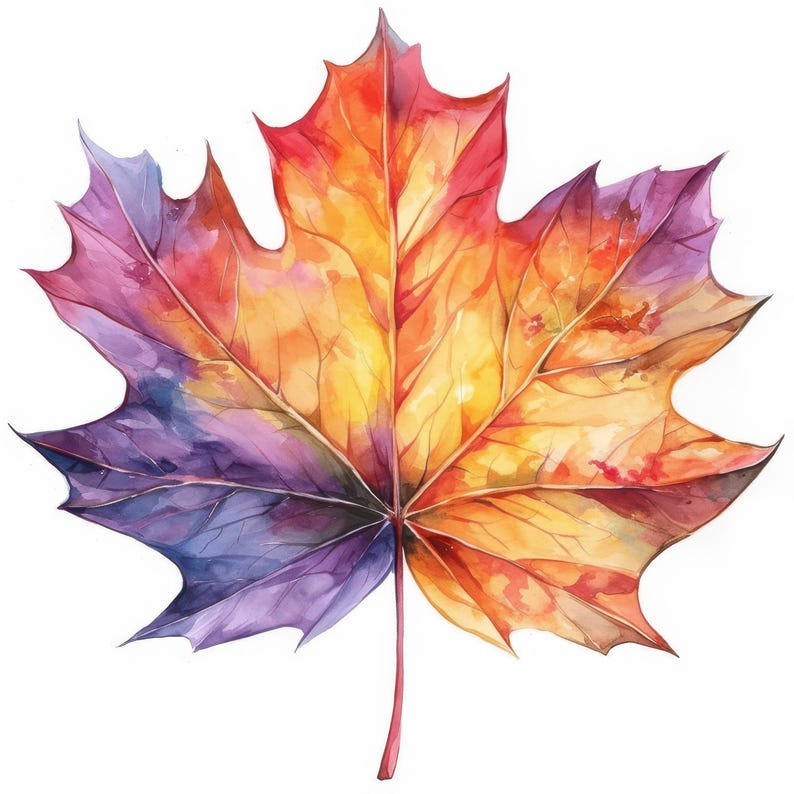 18 Maple Leaf Clipart Bundle, Elegant Autumn Foliage Illustration ...