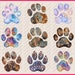 Watercolor Paw Print Clipart Bundle, Animal Footprint Clip Art Set ...