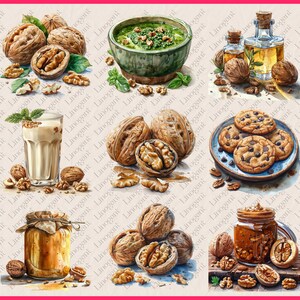 81 PNG Walnut Clipart, Watercolor Hickory Clipart, Illustration | Nuts ...