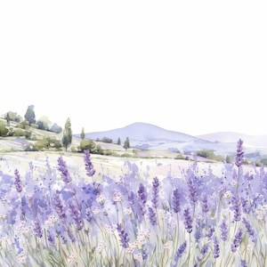 15 Lavender Clipart Floral Bundle, Soft Purple Art Illustration ...