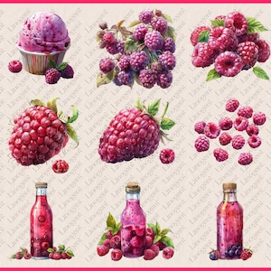 Watercolor Raspberry Clipart Bundle, Tropical Fruit Clip Art Set, Bowl ...