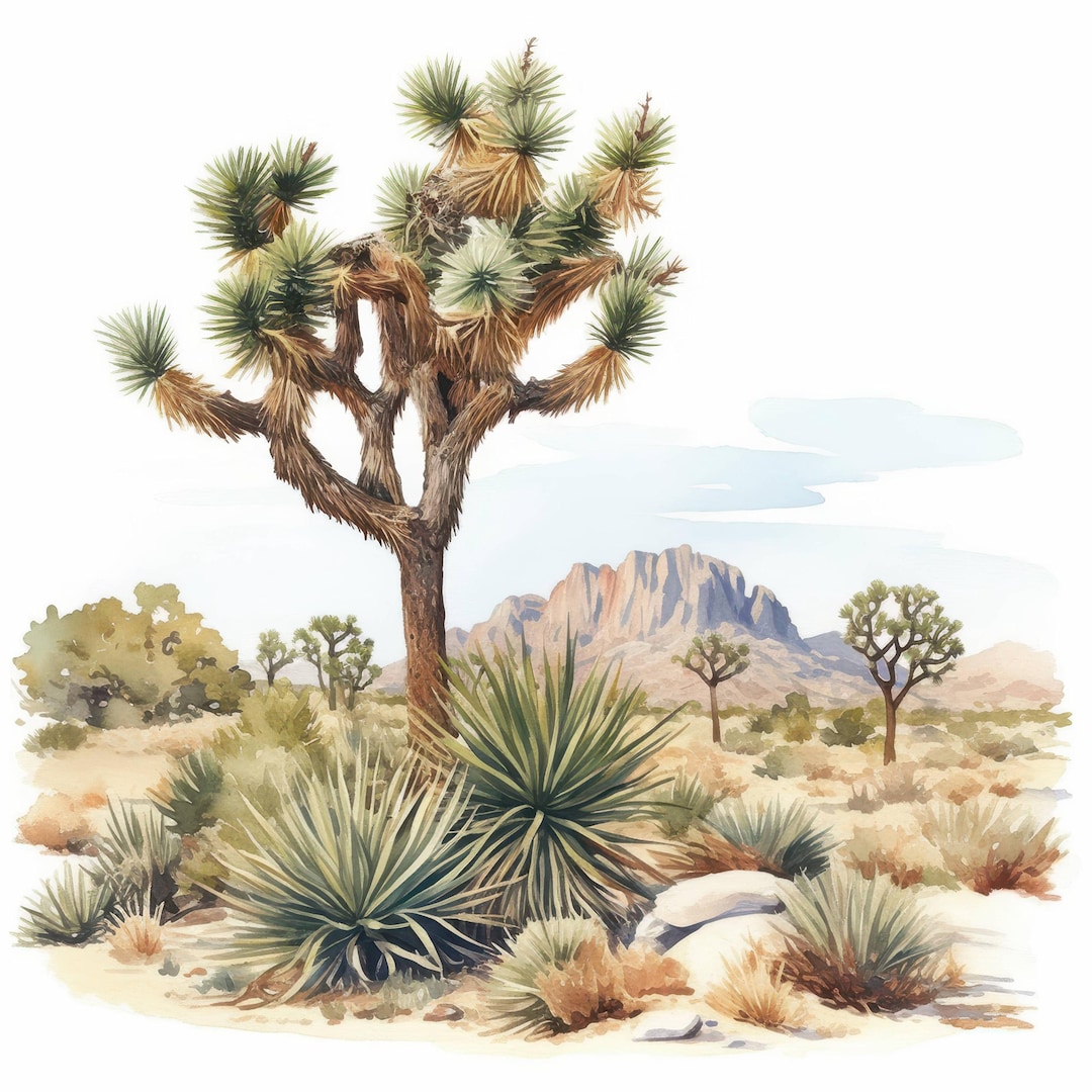 14 Joshua Tree Clipart Bundle, Desert Landscape Illustration, Printable ...