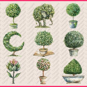 45 PNG Topiary Tree Clipart | Tree Shaped Like Cat, Bird, Moon ...