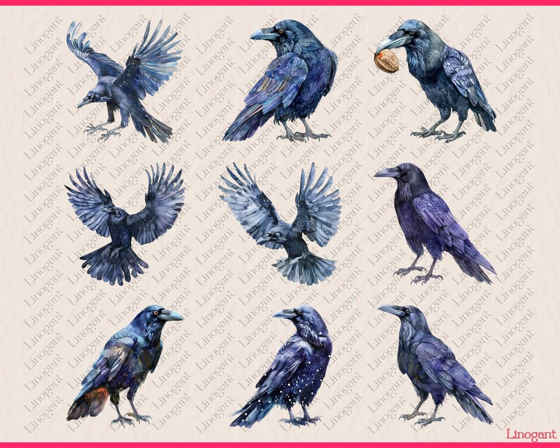 Watercolor Raven Clipart Bundle, Bird Species Clip Art Set, Animal PNG ...