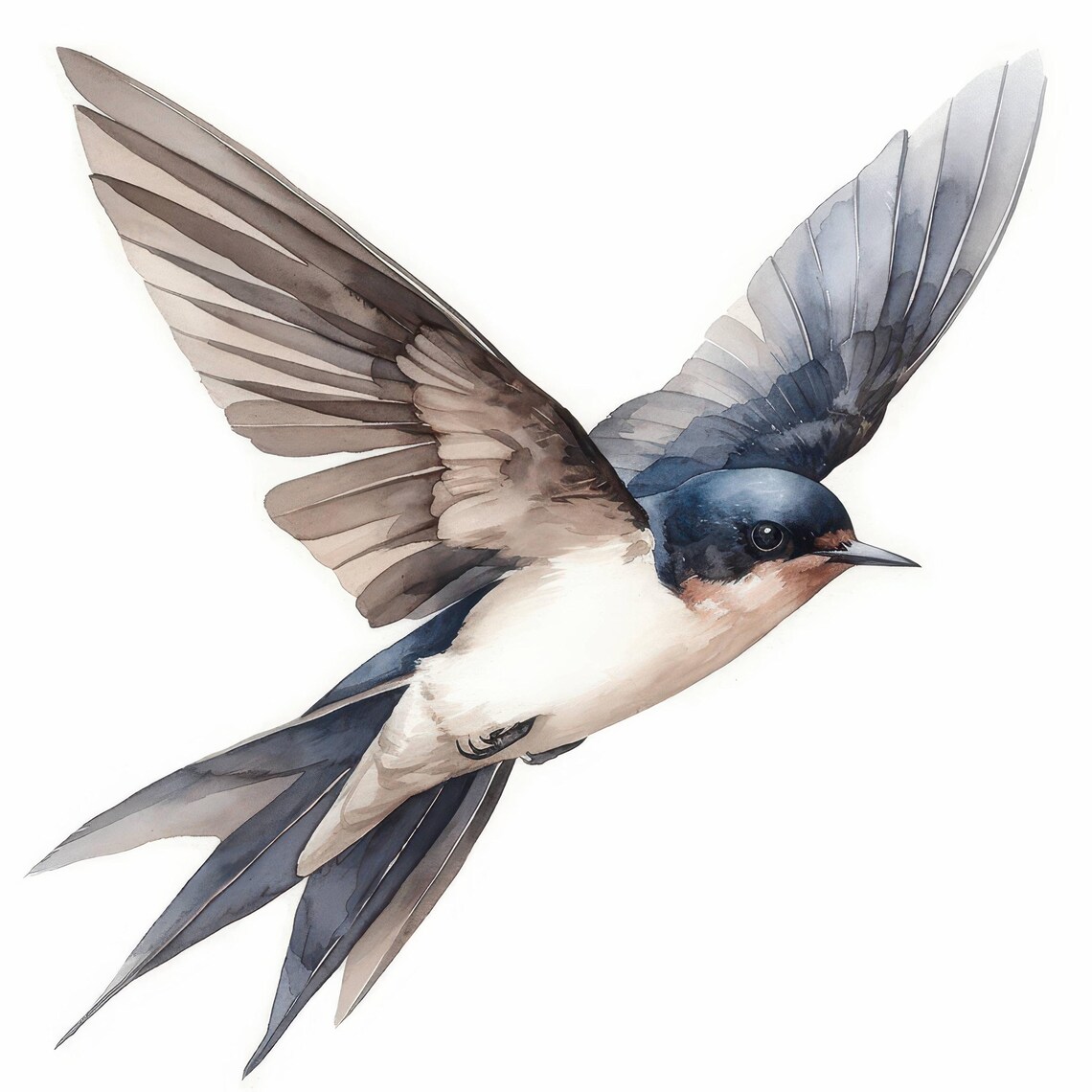 10 Swallow Clipart Bundle, Flying Bird Art Illustration, Printable ...